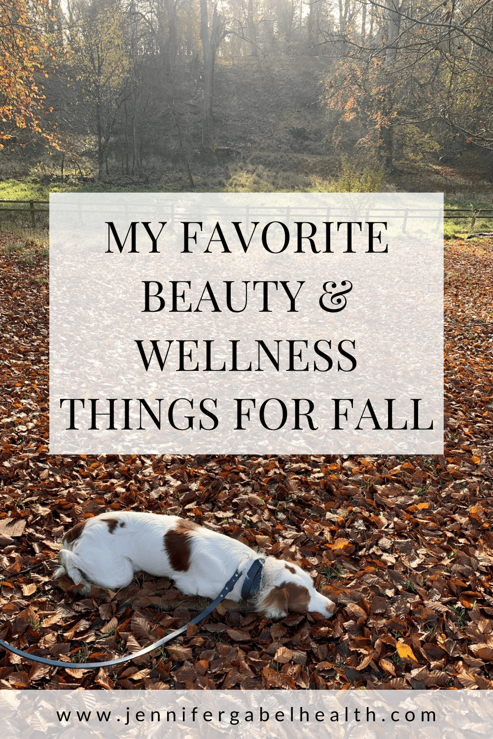 My Favorite Beauty & Wellness Things for Fall - Jennifer Gabel Health